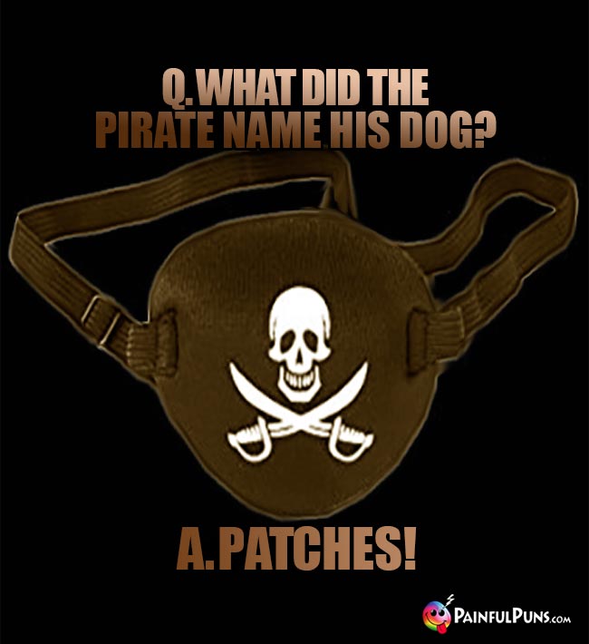 Pirate Jokes Booty Puns Aye Humor Arrr 3 PainfulPuns